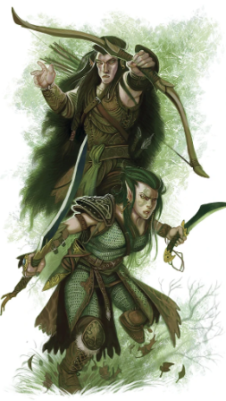 The Elf 5e (5th Edition) in DnD Races
