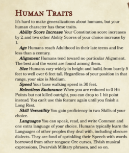 Human 5e - Exploring the Unique Traits of D&D 5e
